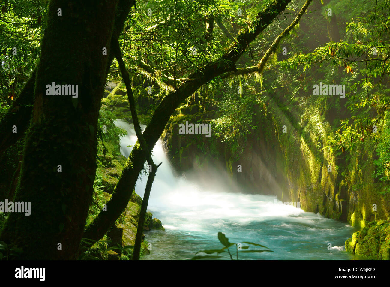 Kikuchi Gorge, Kumamoto Prefecture, Japan Stock Photo - Alamy