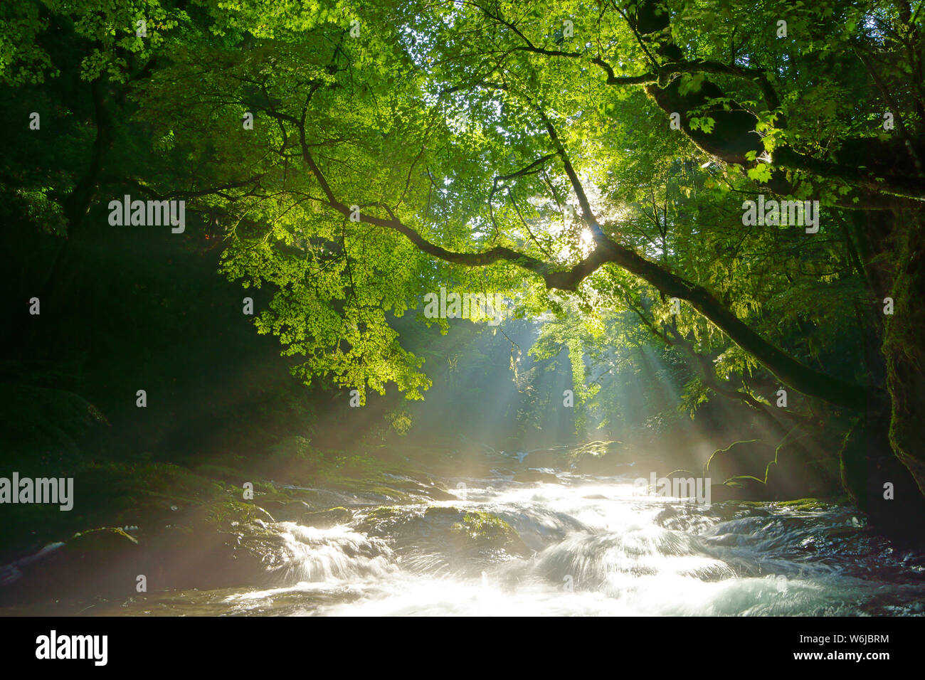 Kikuchi Gorge, Kumamoto Prefecture, Japan Stock Photo - Alamy
