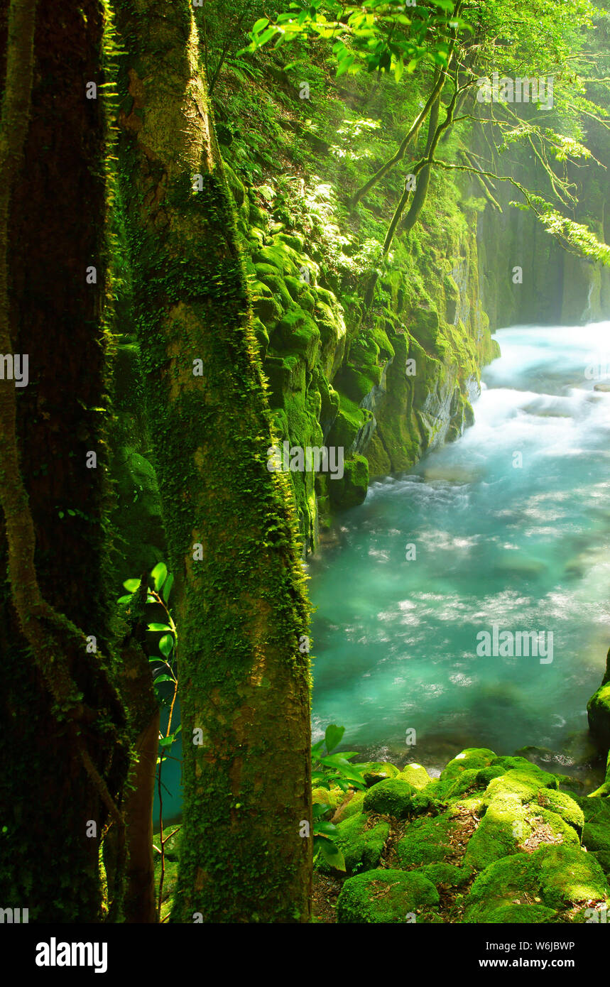 Kikuchi Gorge, Kumamoto Prefecture, Japan Stock Photo - Alamy