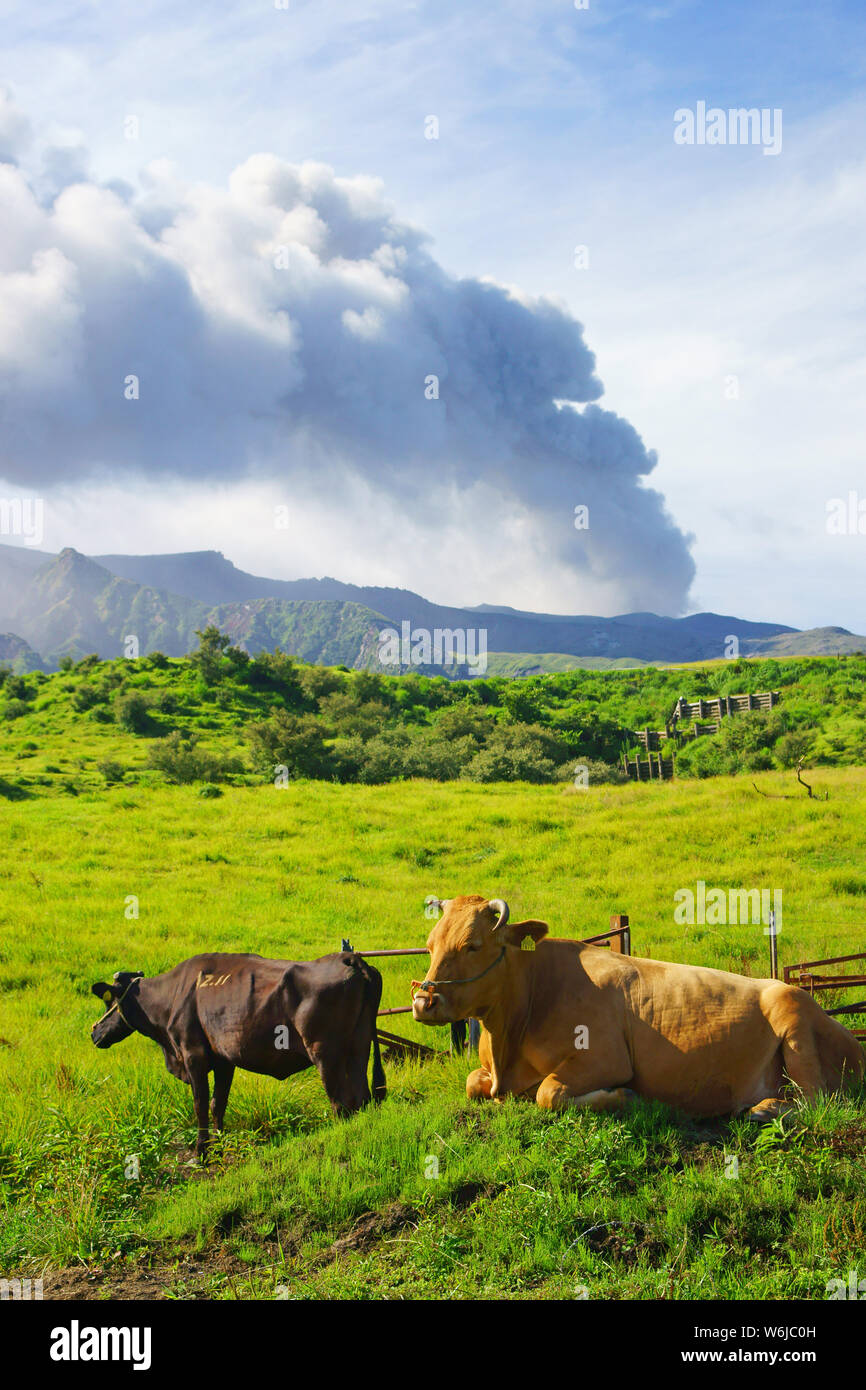 Aso in summer Stock Photo - Alamy