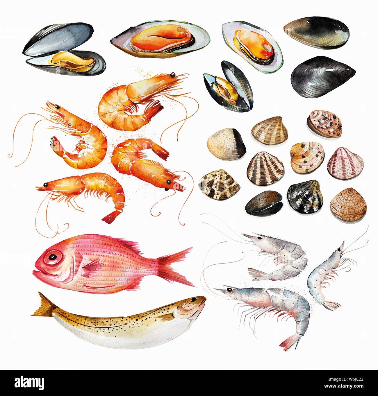 Watercolour painting of seafood fish hi-res stock photography and ...