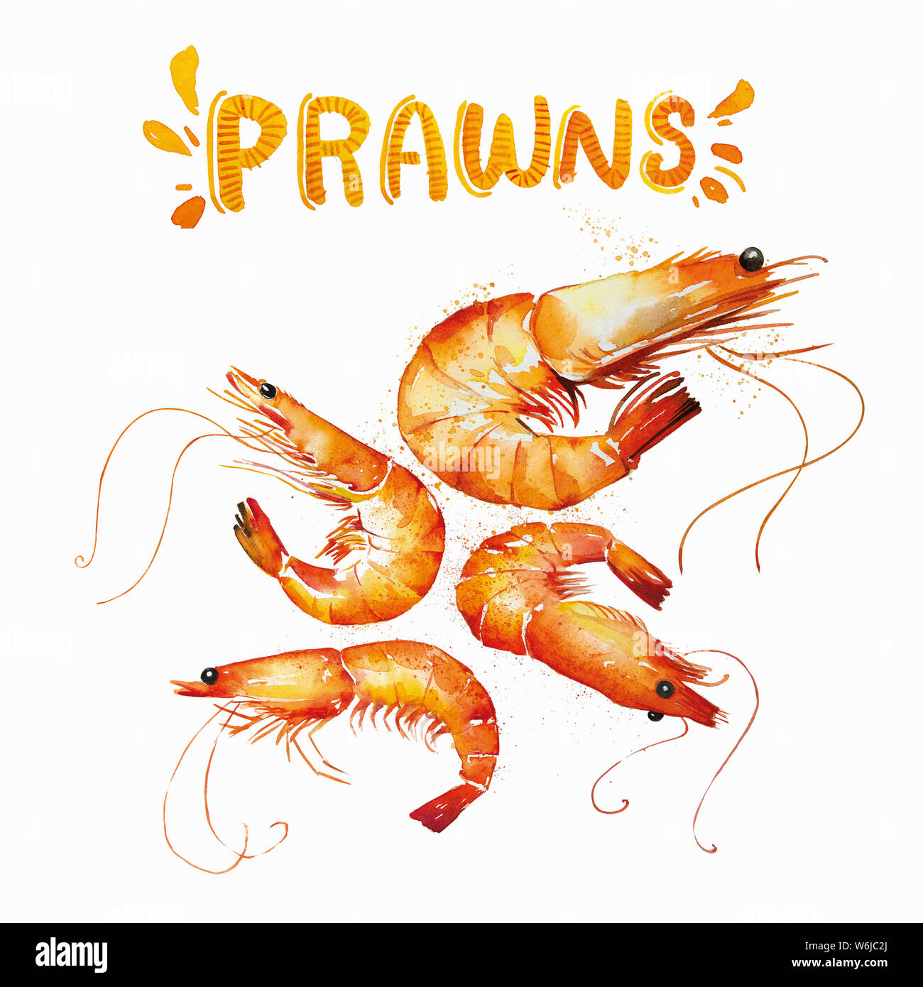 Watercolour painting of fresh prawns Stock Photo - Alamy