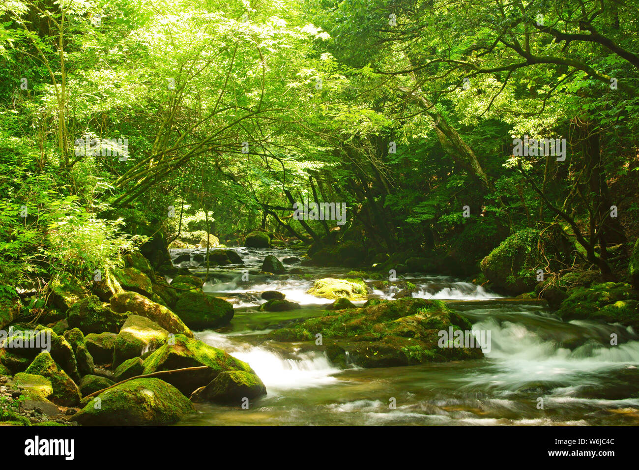 River streaming spring water Stock Photo - Alamy