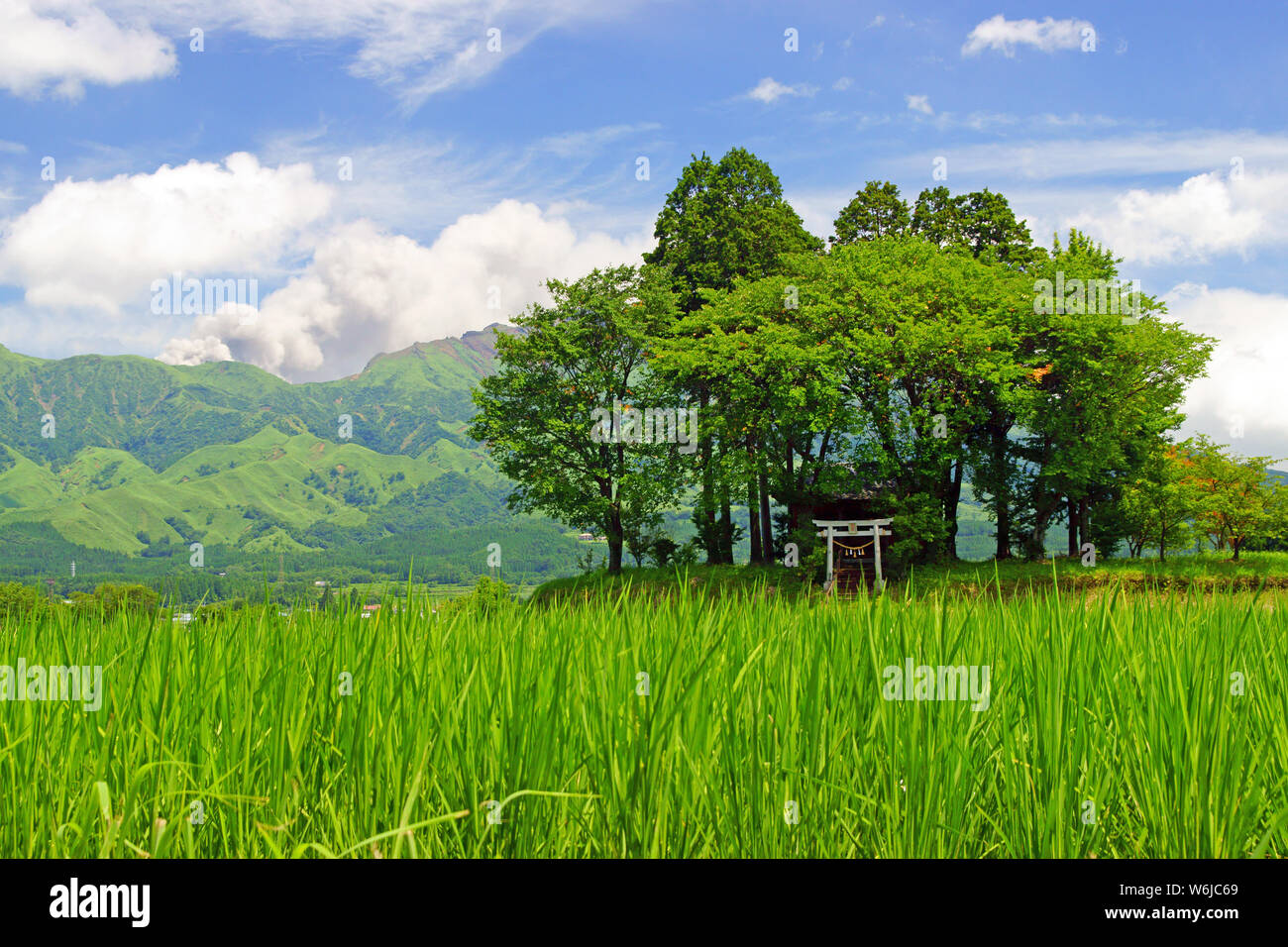 Chugou Tenmangu, Minamiaso village Stock Photo - Alamy