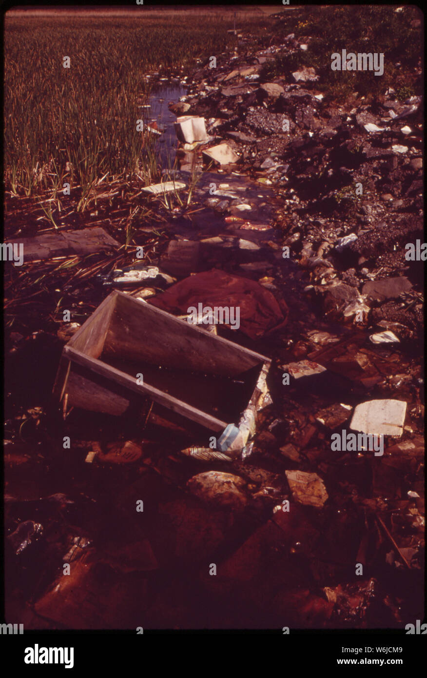 MIDDLETOWN DUMP MEETS THE SALT MARSH Stock Photo - Alamy