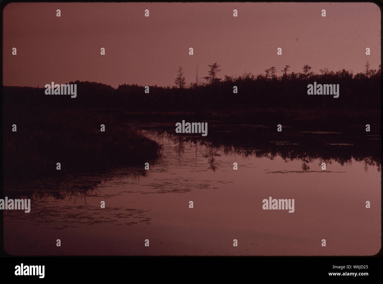 MOEN LAKE--ONE OF THE MANY CONNECTED LAKES OF THE 11,815 SQUARE MILE ...