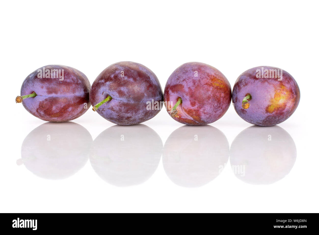 Group of four whole fresh blue plum in a row isolated on white ...
