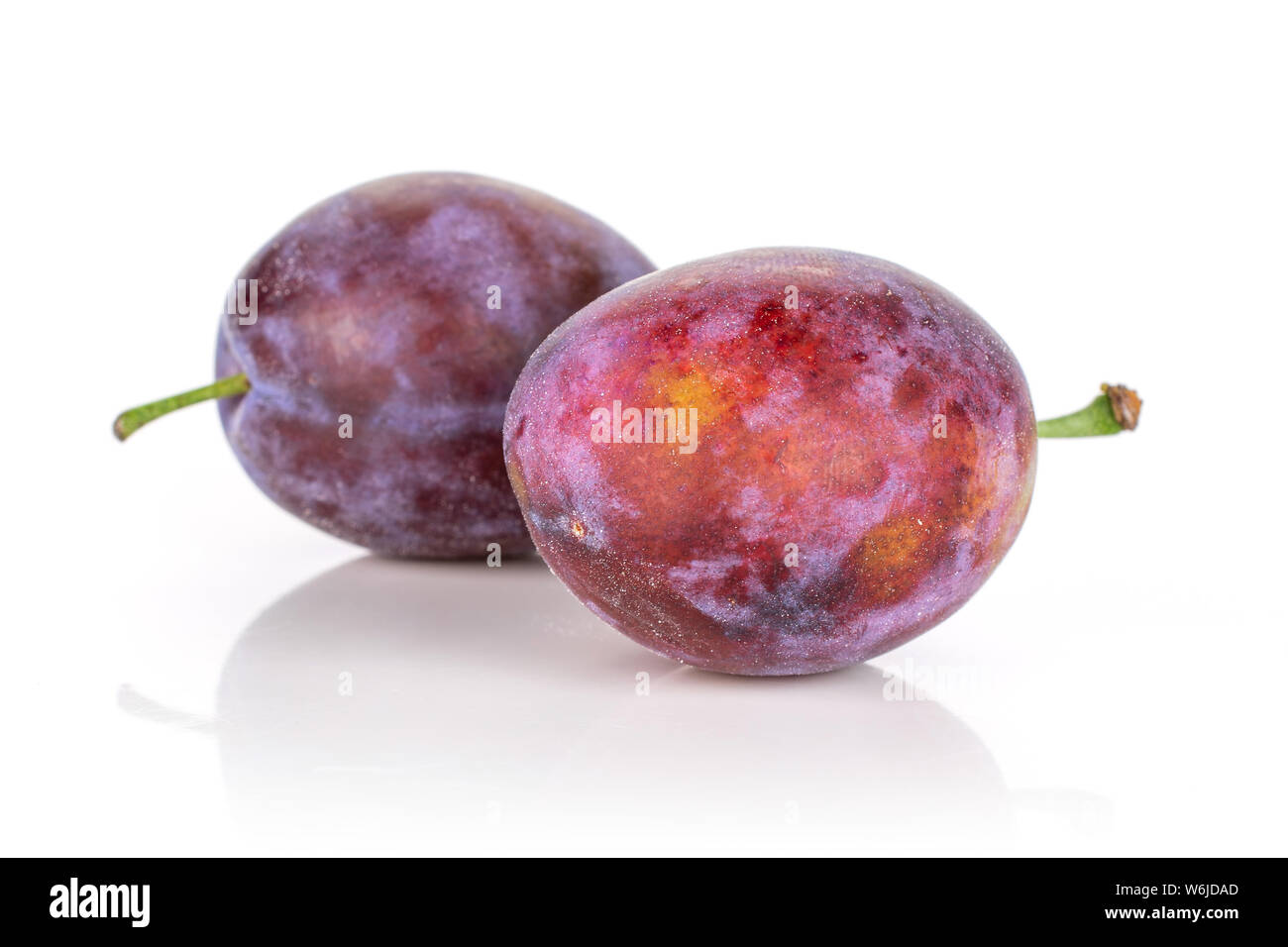 Group of two whole fresh blue plum close together isolated on white ...