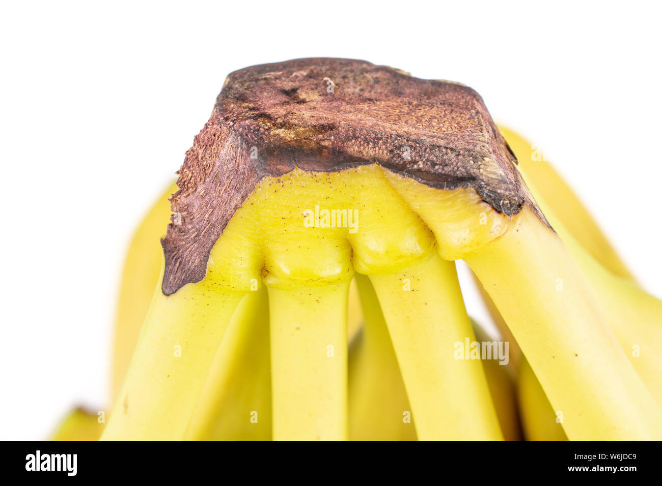 Lot of whole ripe yellow banana in closeup isolated on white background ...