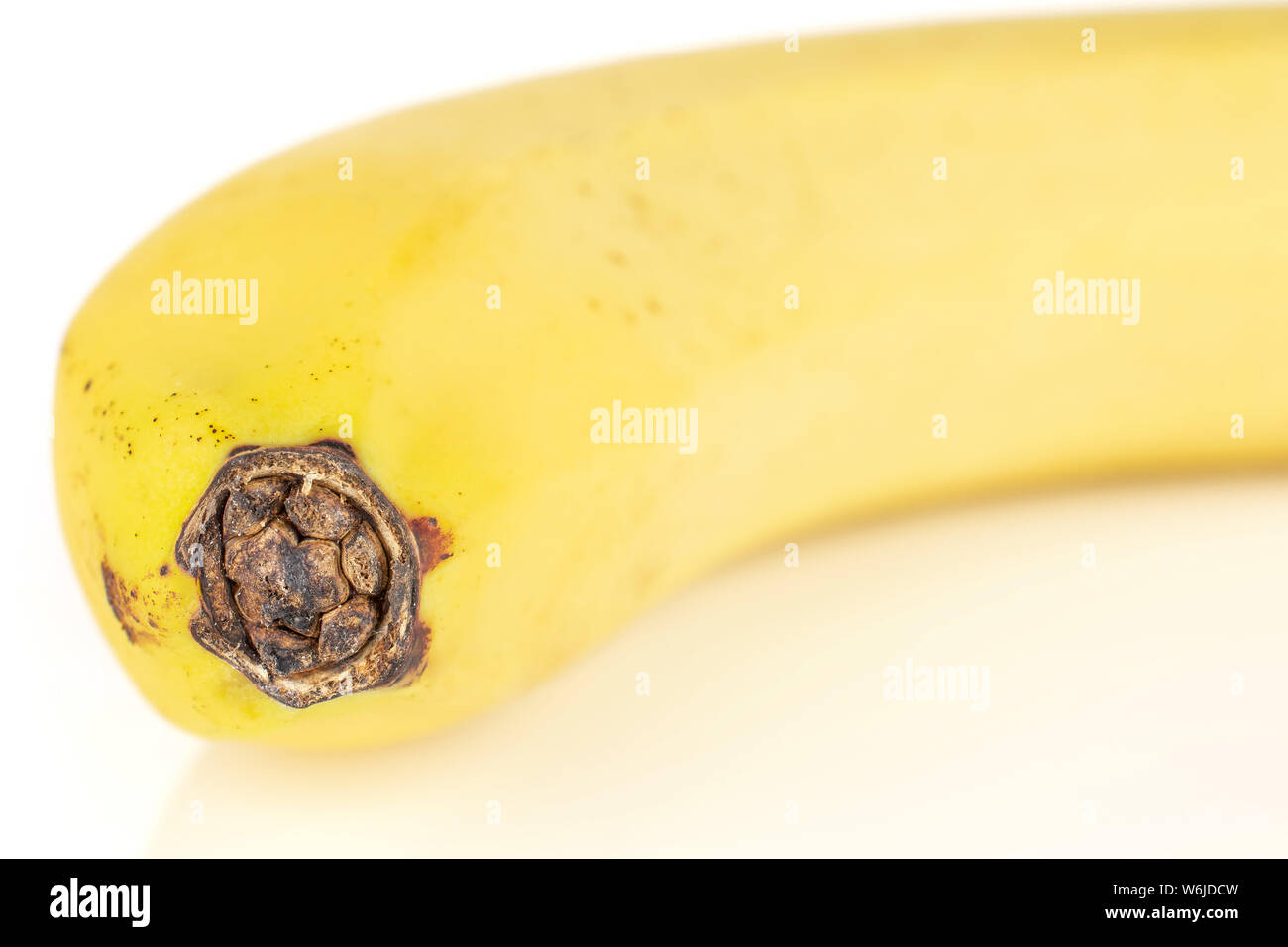 One whole ripe yellow banana in closeup isolated on white background ...