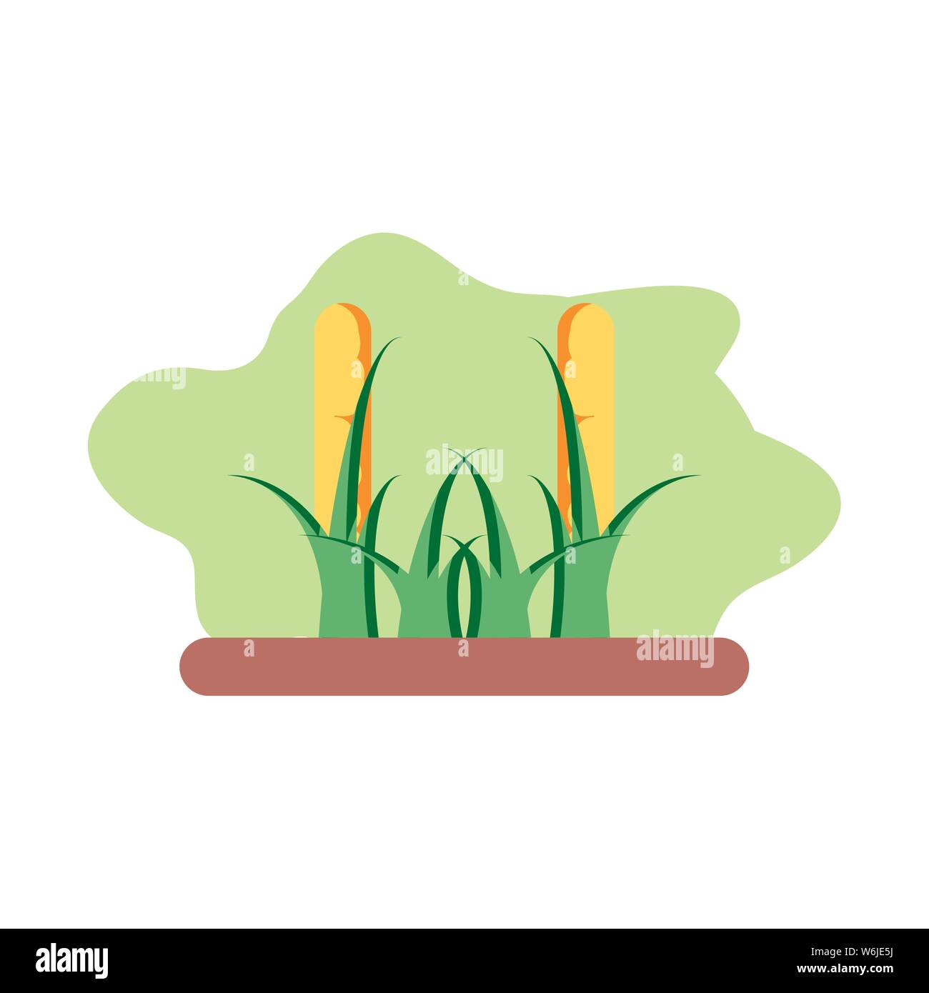 plantation corn natural isolated icon vector illustration design Stock ...