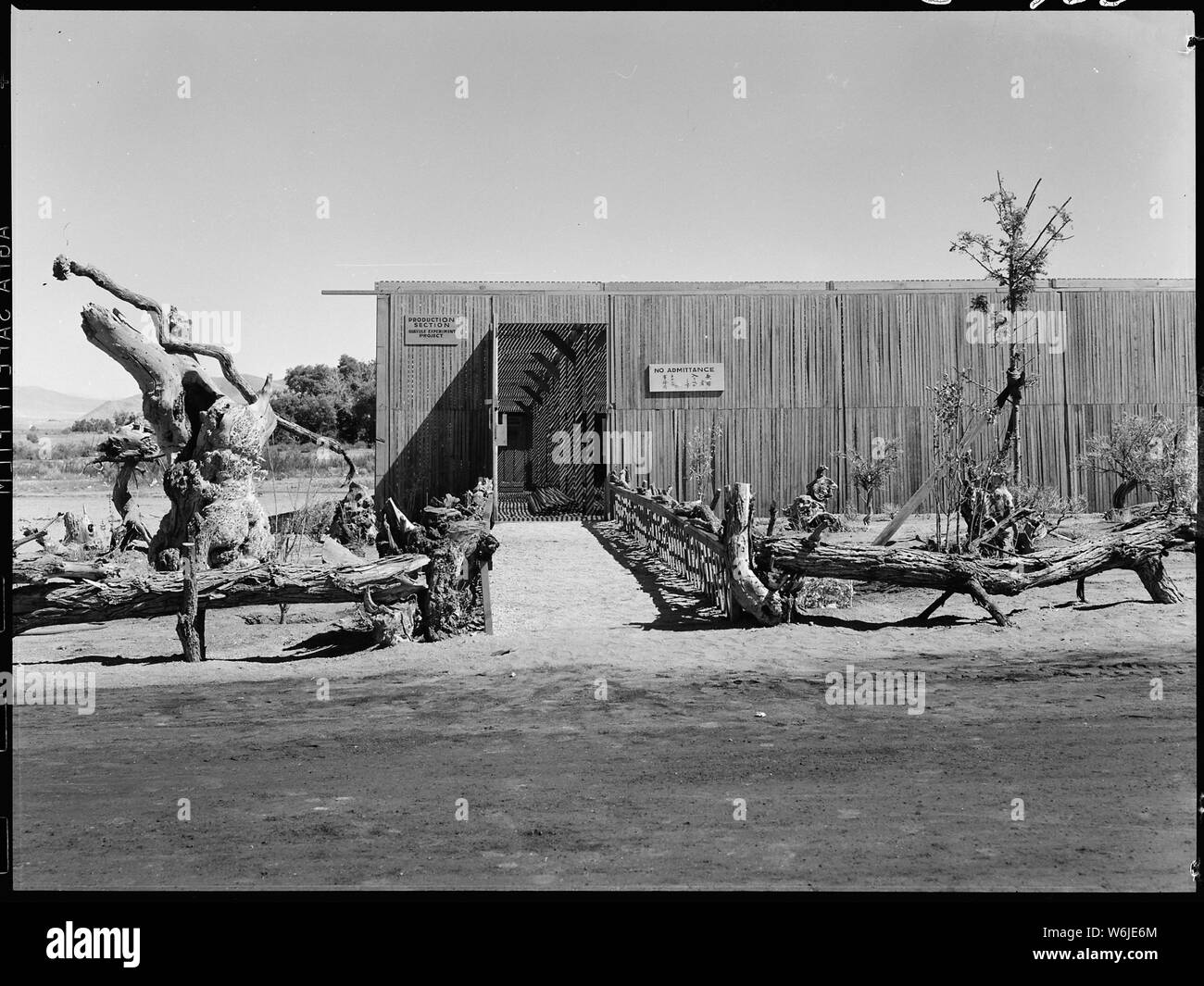 Manzanar Relocation Center, Manzanar, California. A view of section of ...
