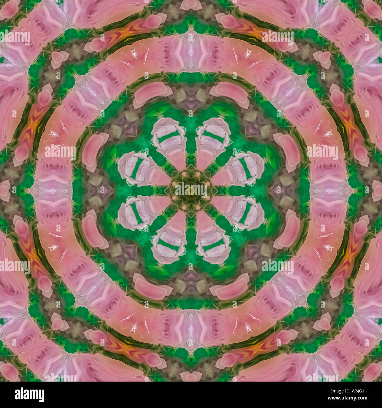 Square A circular pattern with colorful feathers digital Stock Photo ...