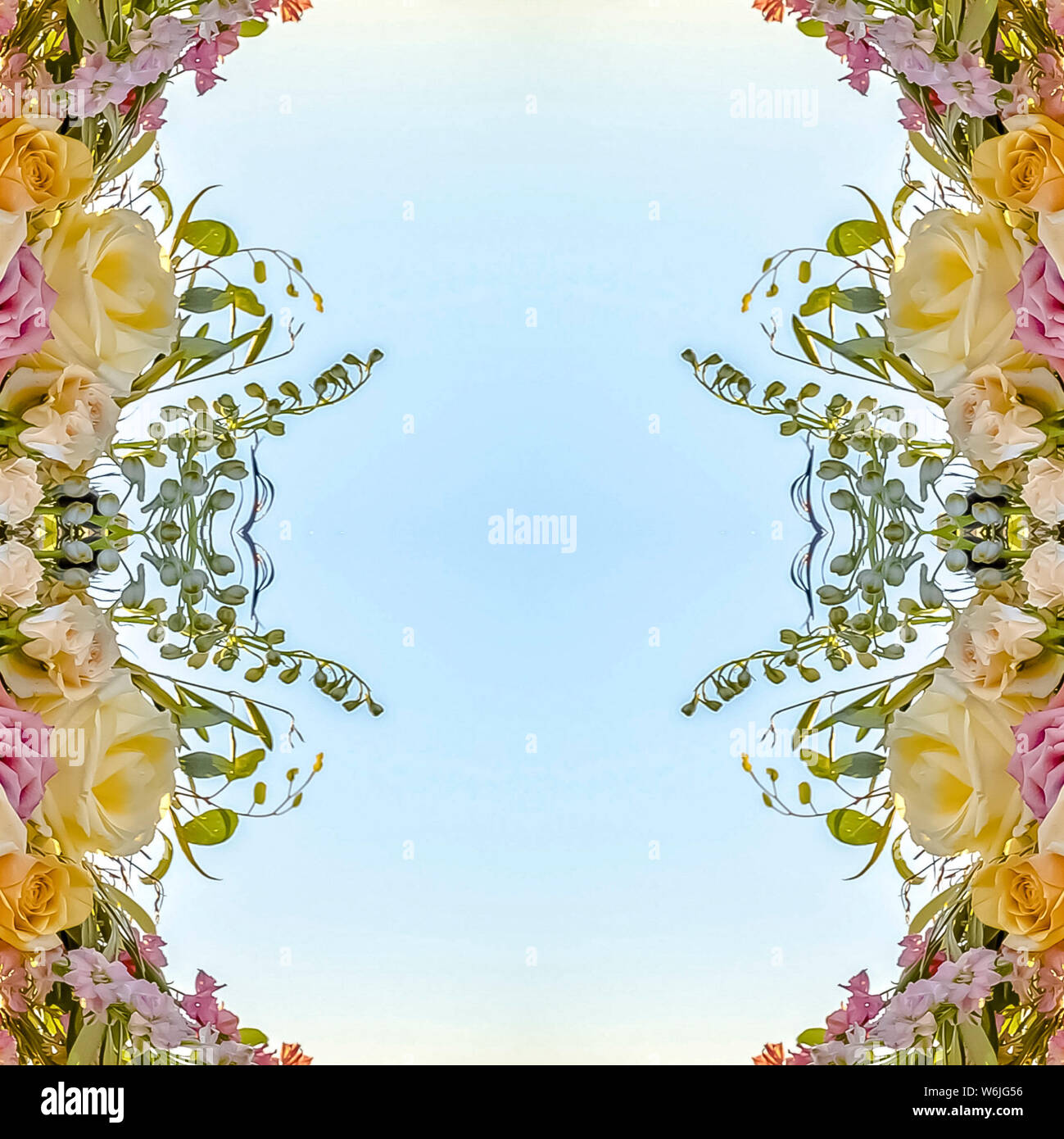 Square Symmetrical pink roses and green leaves made into an abstract ...