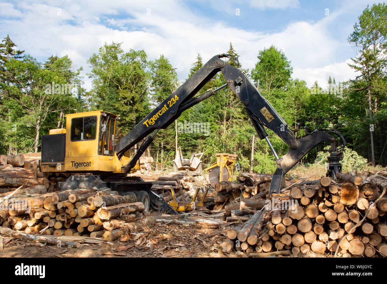A Tigercat 234 log loader working at a log landing in the Adirondack ...