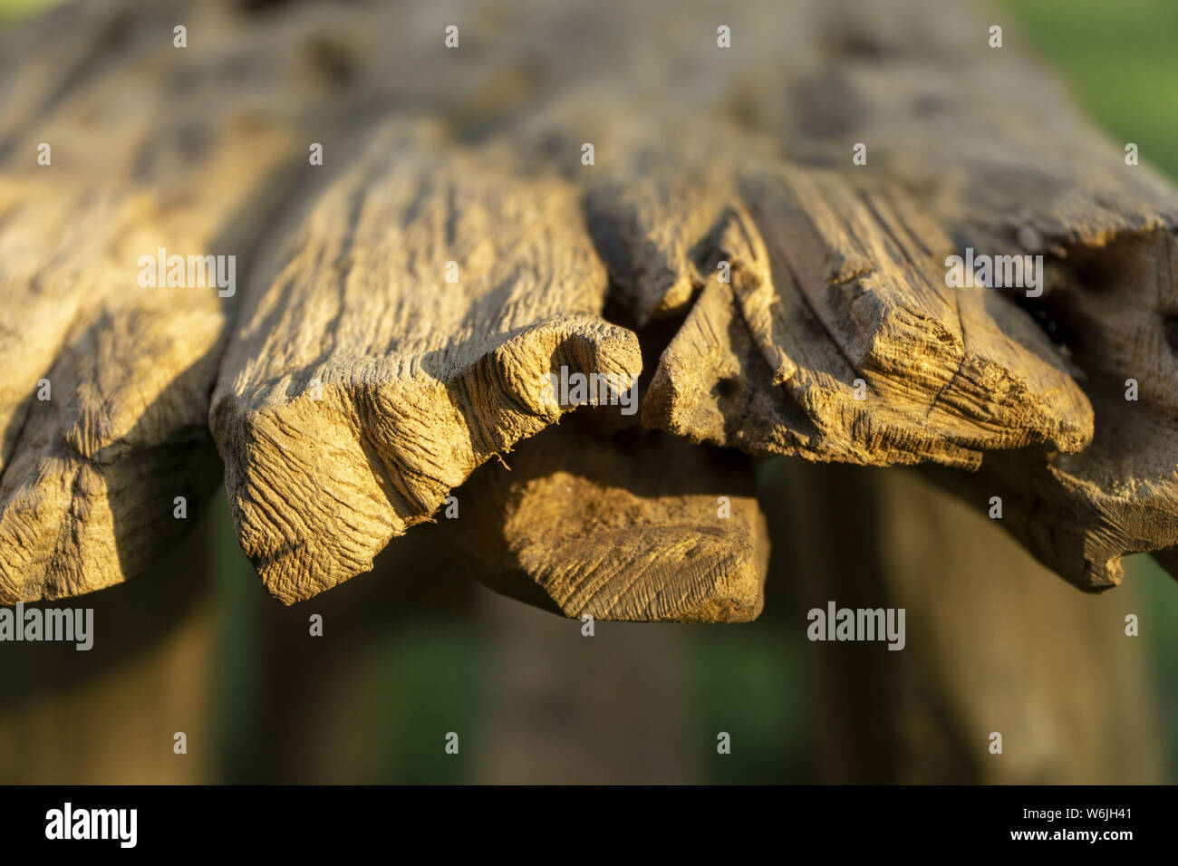 Old wood rough texture background with knots and hole with copyscape ...