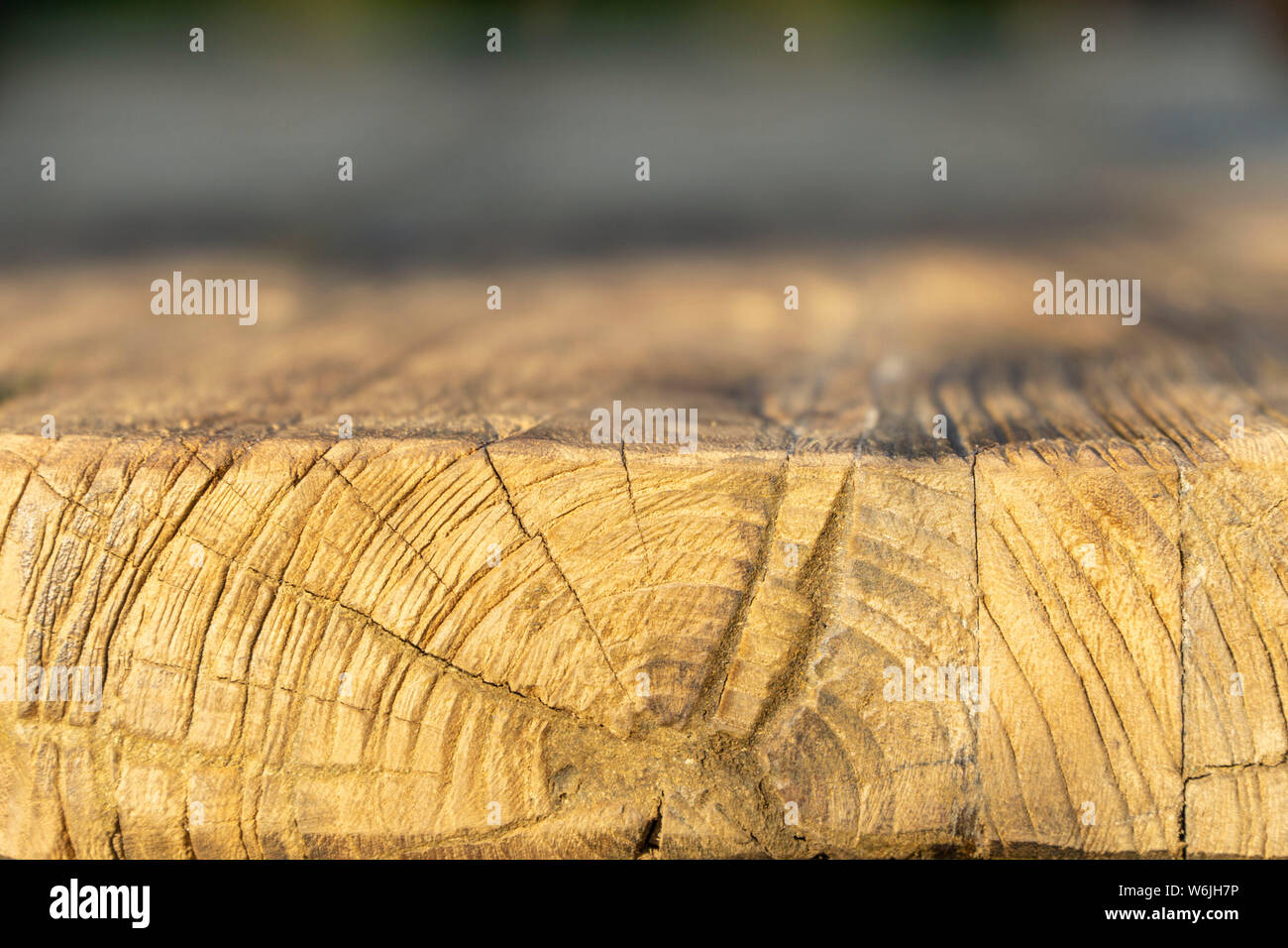 Old wood rough texture background with knots and hole with copyscape ...