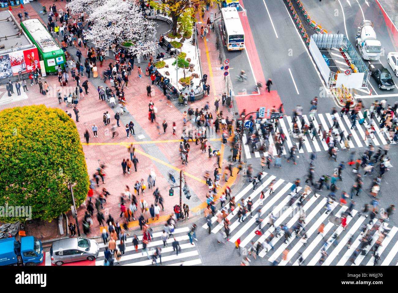 Shibuya crossing, crowds at intersection, many pedestrians cross zebra ...