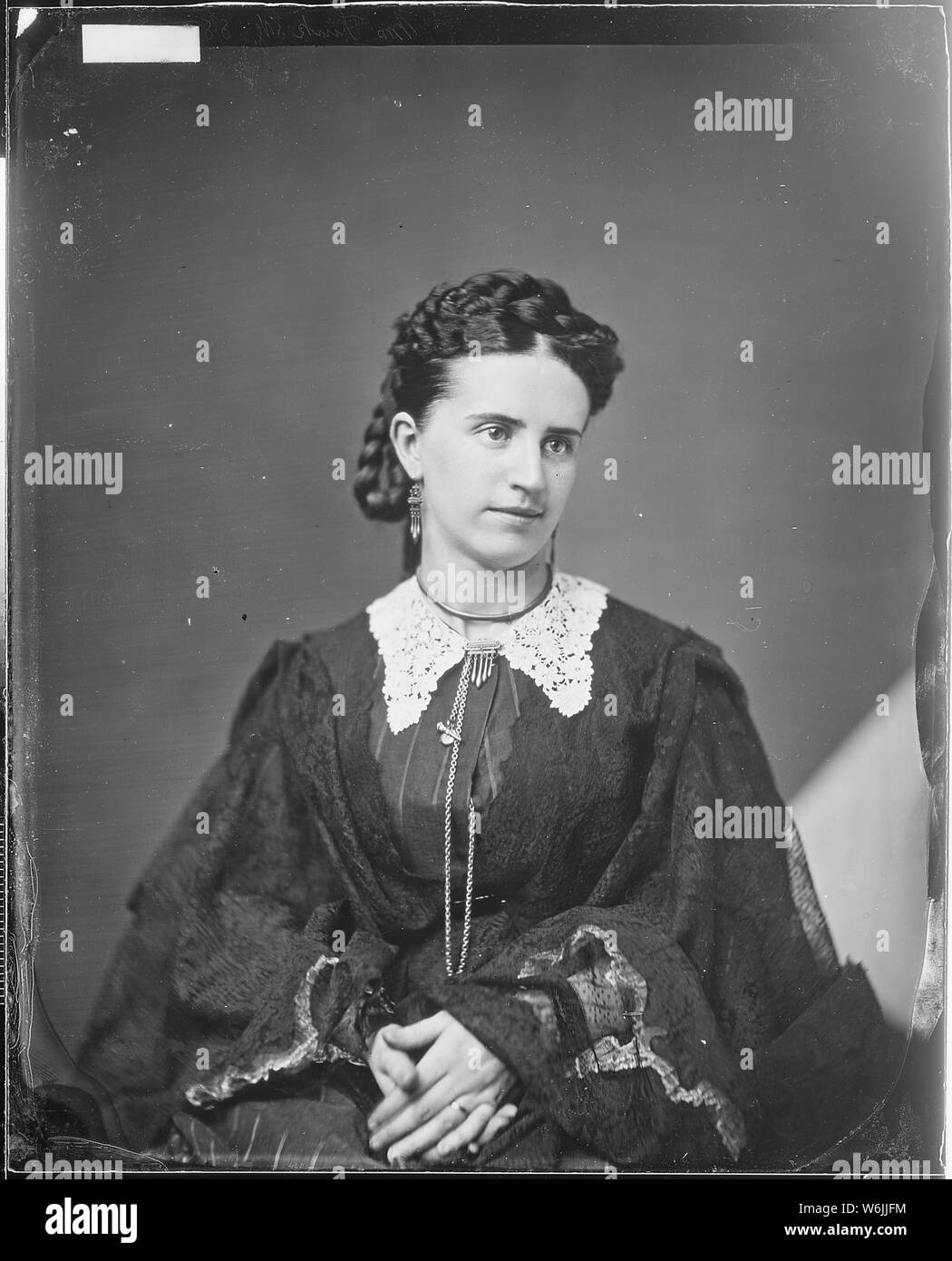 Fink Black and White Stock Photos & Images - Alamy