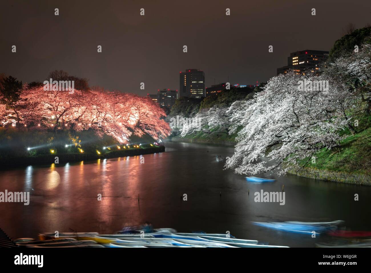 Cherry blossom tree canal hi-res stock photography and images - Alamy