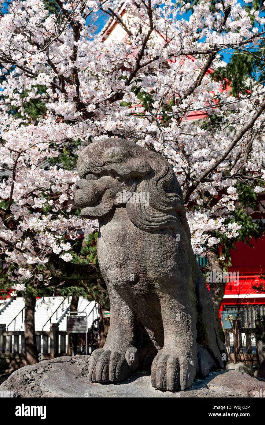 Lion statue, guardian figure, Buddhist temple complex, Senso-ji Temple ...