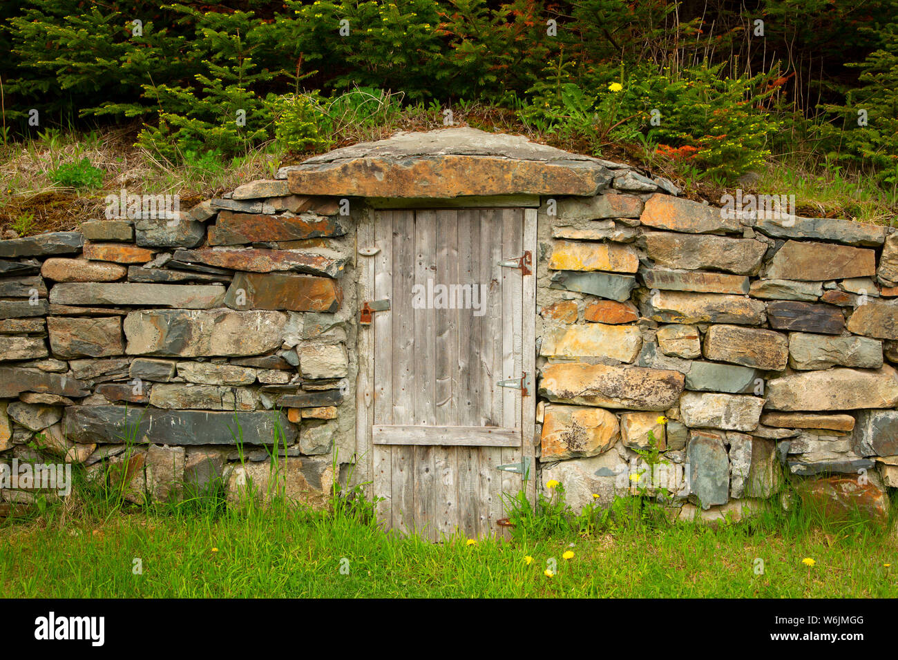 Root cellar hi-res stock photography and images - Alamy