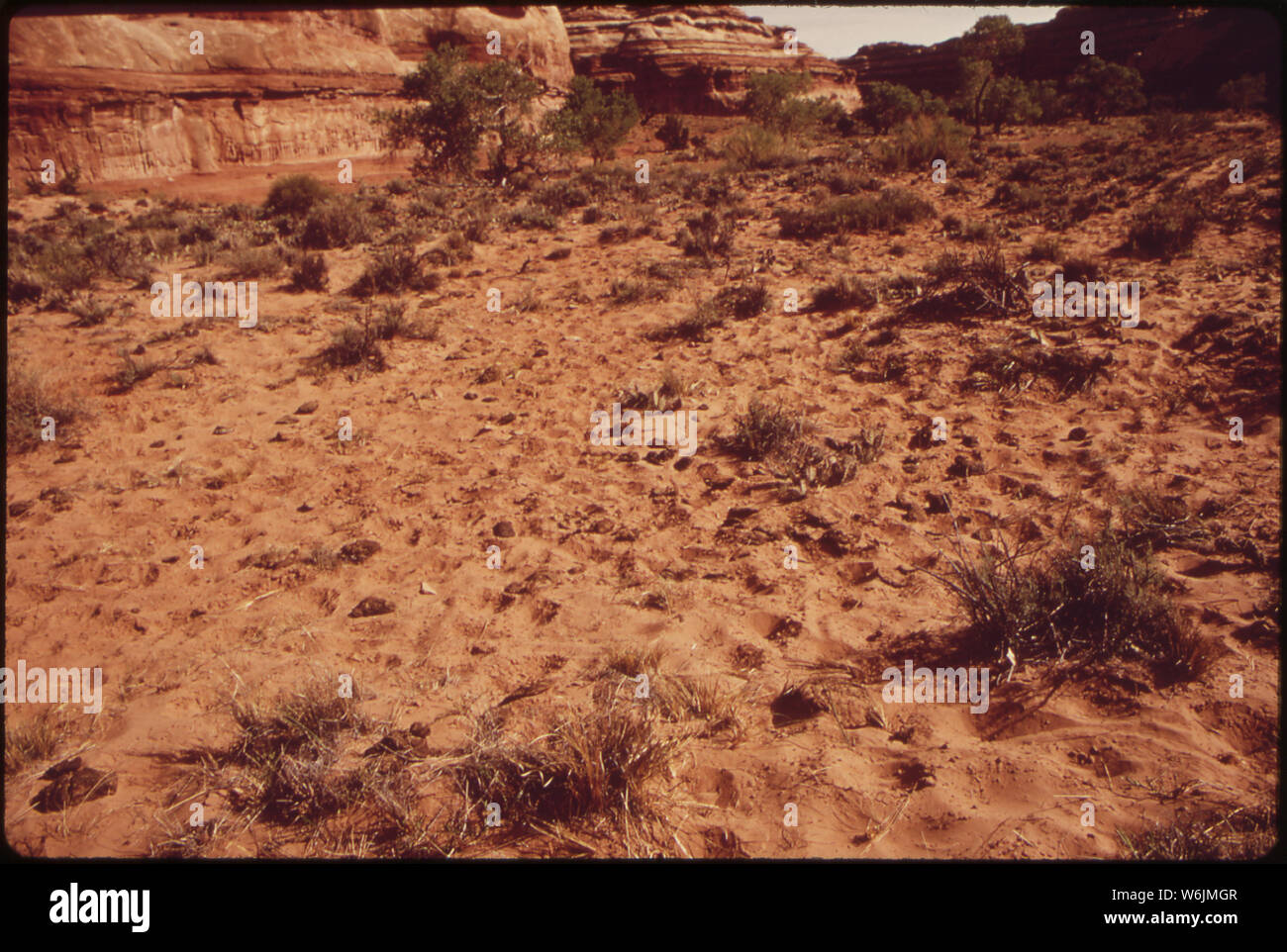 NEWLY INCORPORATED INTO CANYONLANDS NATIONAL PARK, THE MAZE IS ...