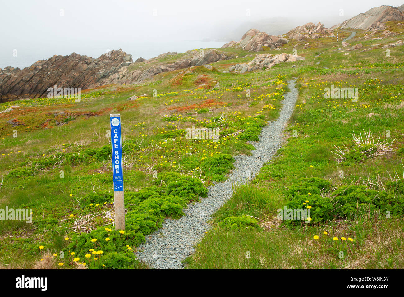 Cape Shore Trail, John Cabot Municipal Park, Bonavista, Newfoundland ...