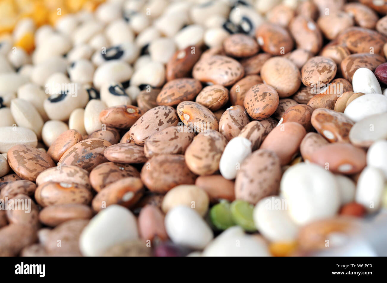 mix bean focus on roman bean for background use Stock Photo - Alamy