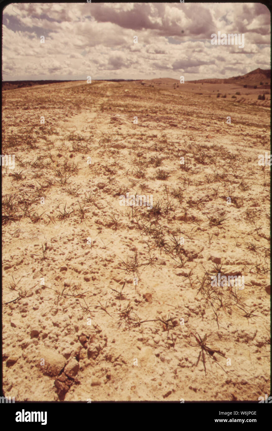 OLD SPOIL PILES ARE FLATTENED AND PLANTED IN AN ATTEMPT AT RECLAMATION ...