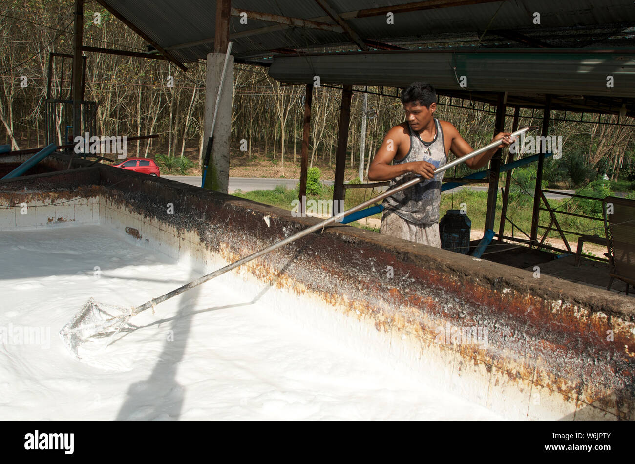 rubber production is one of the main production of southern thailand ...