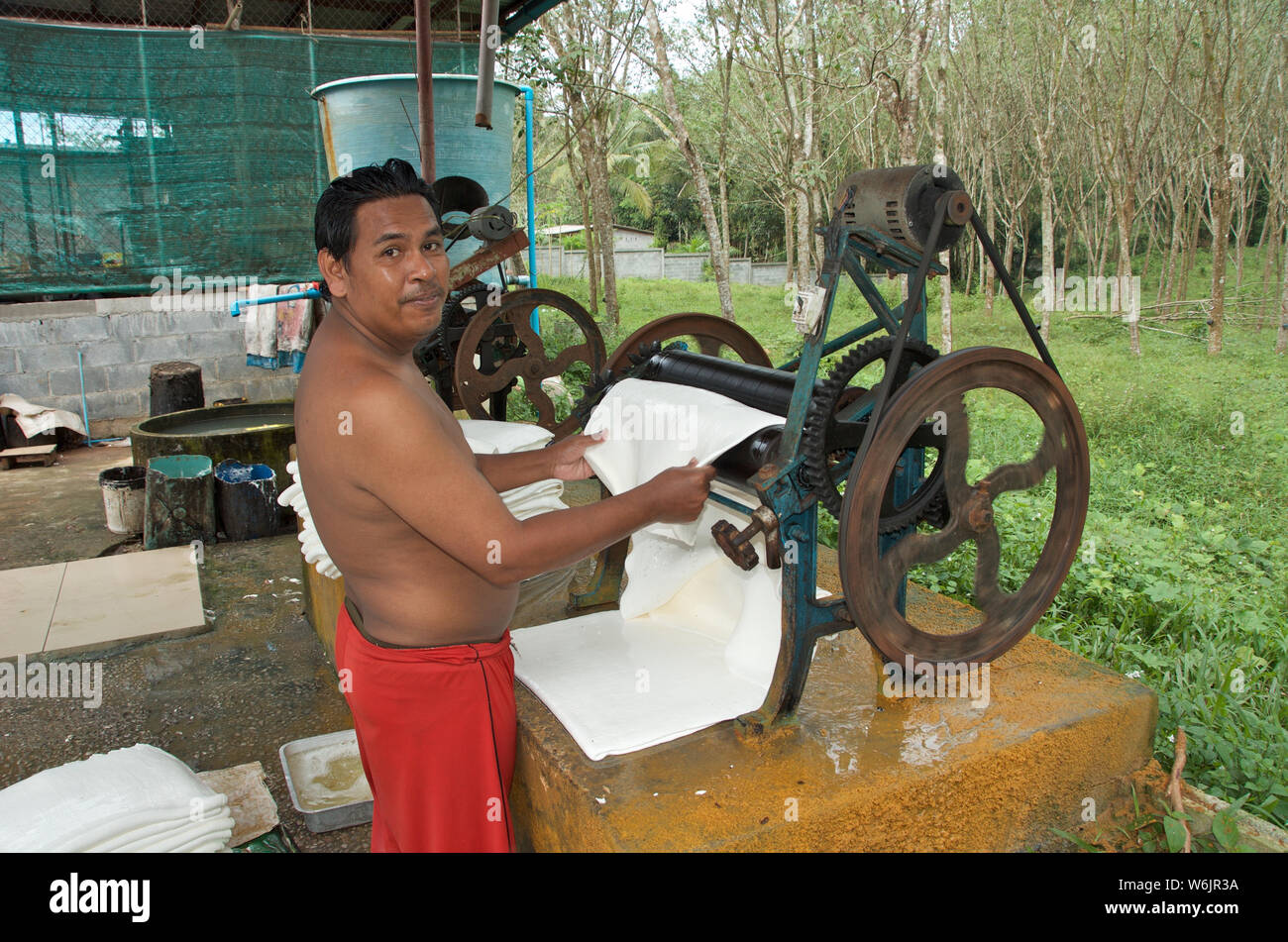 Rubber production hi-res stock photography and images - Alamy