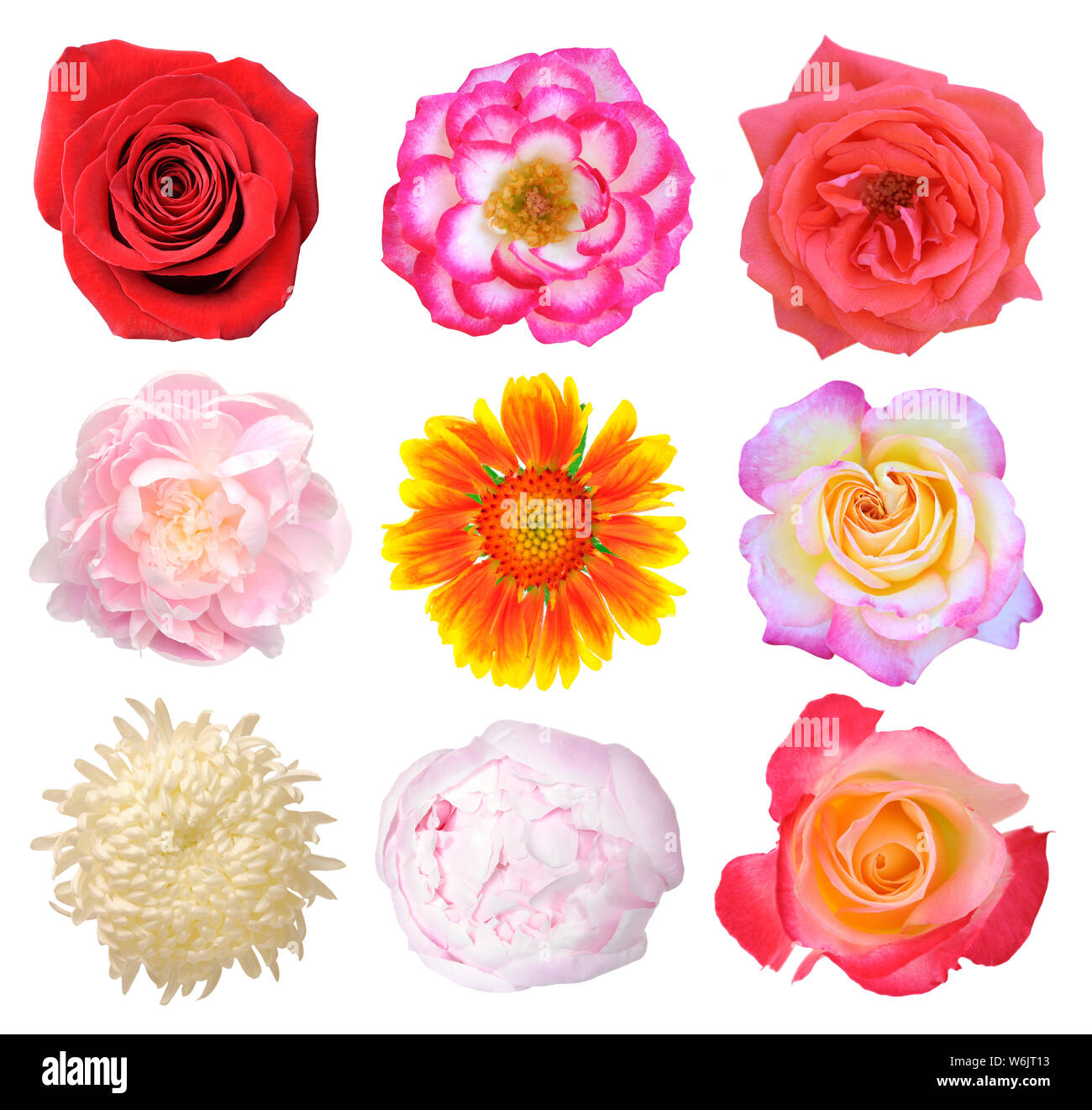 mix flowers isolated on white background Stock Photo - Alamy