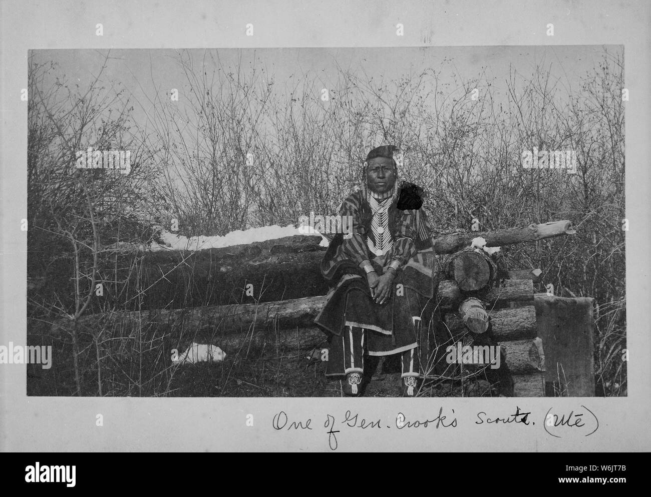 One of General Crook's Scouts [Ute] Stock Photo - Alamy