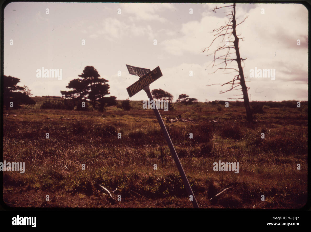 PACIFIC DUNES SUBDIVISION Stock Photo - Alamy