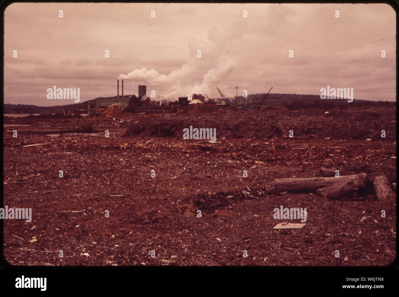 Georgia pacific paper mill hi-res stock photography and images - Alamy