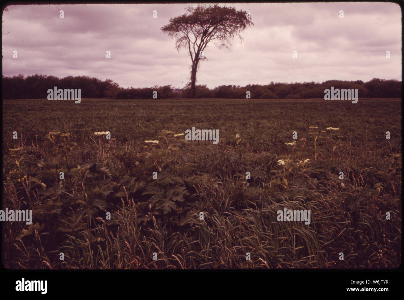 Sakonnet river hi-res stock photography and images - Alamy