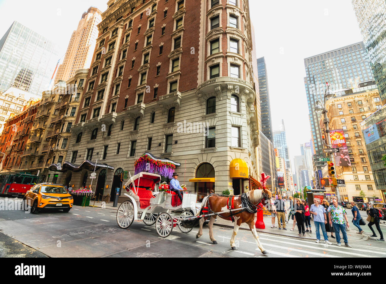 New York Street Life