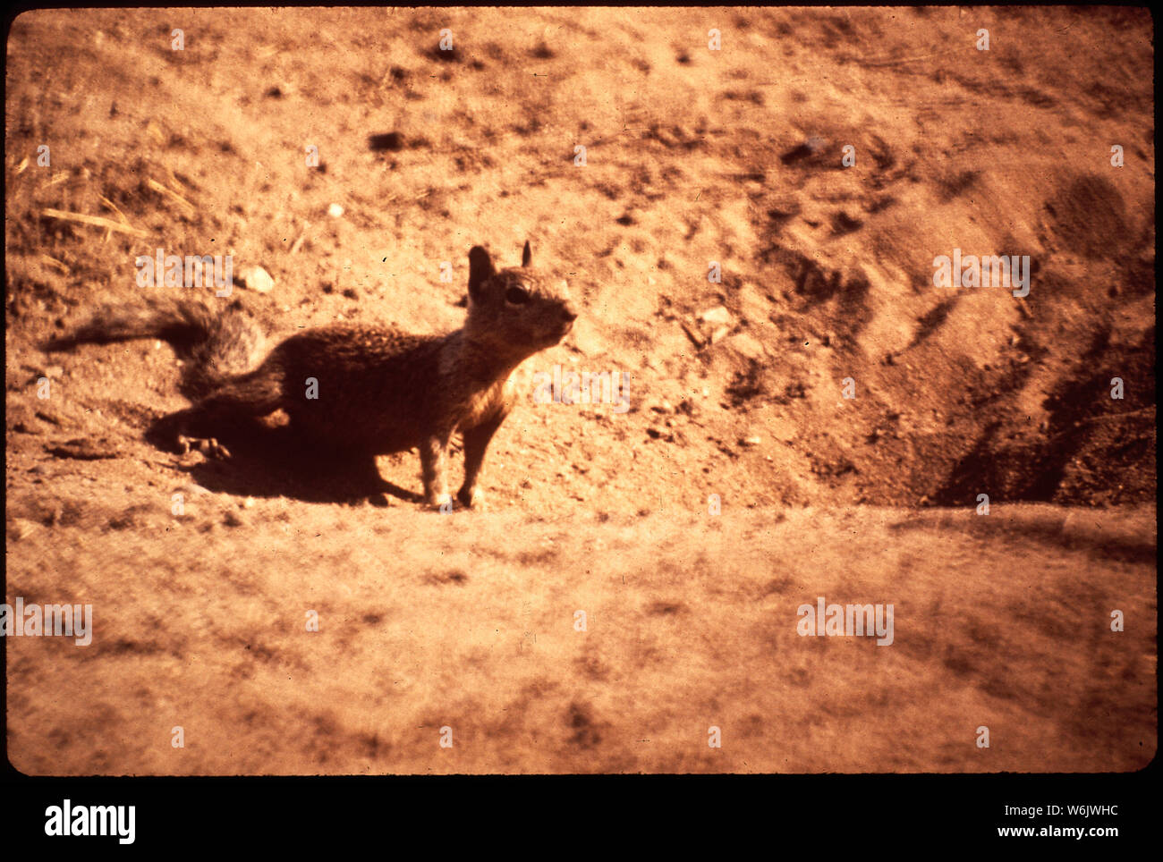 Active commission hi-res stock photography and images - Alamy