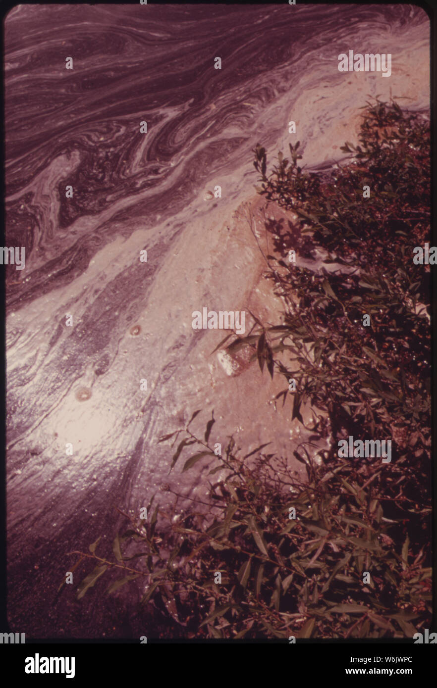 POLLUTED ANDROSCOGGIN RIVER ABOVE THE BROWN PAPER COMPANY'S MILL AT ...