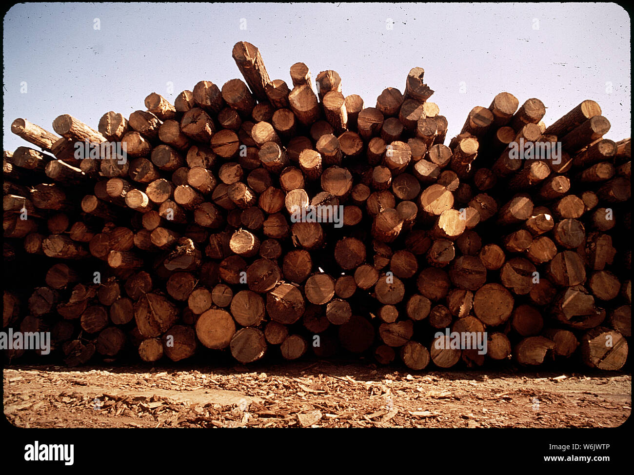 Ponderosa logs hi-res stock photography and images - Alamy