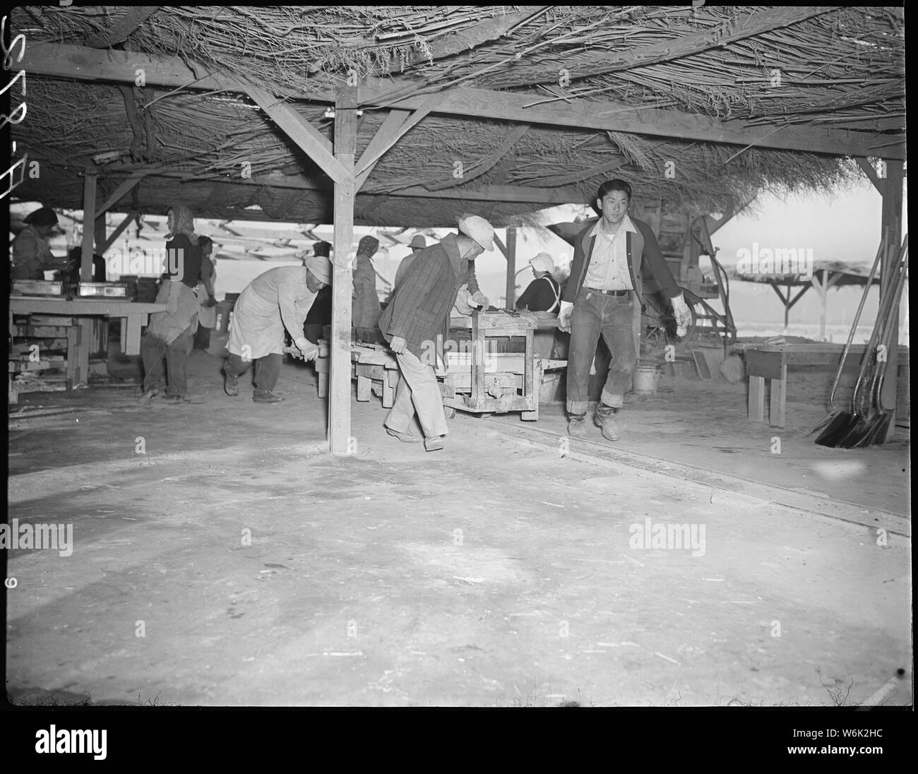 Poston, Arizona. Adobe factory. Wheeling adobe bricks from stand to ...
