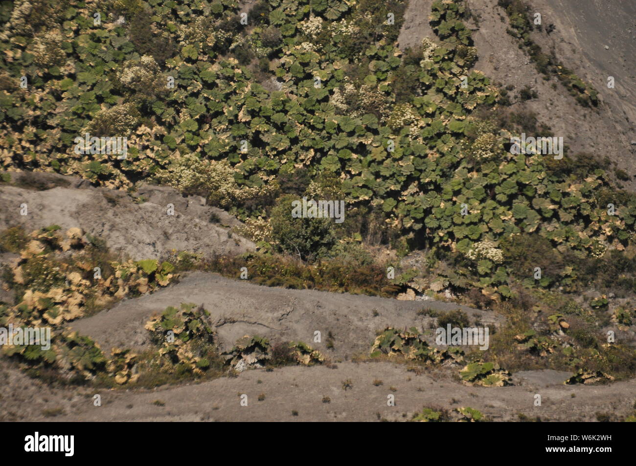 Barrier volcano hi-res stock photography and images - Alamy