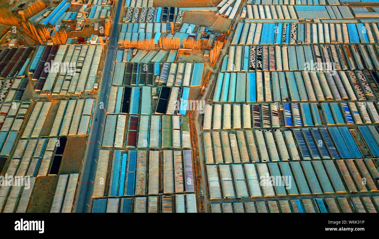 Aerial view of quantities of greenhouses distributed in order in Hejing ...