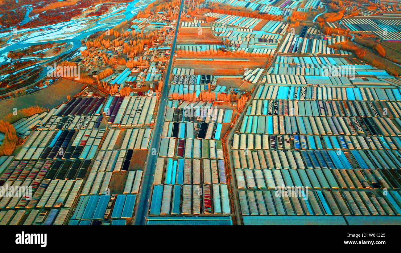 Aerial view of quantities of greenhouses distributed in order in Hejing ...