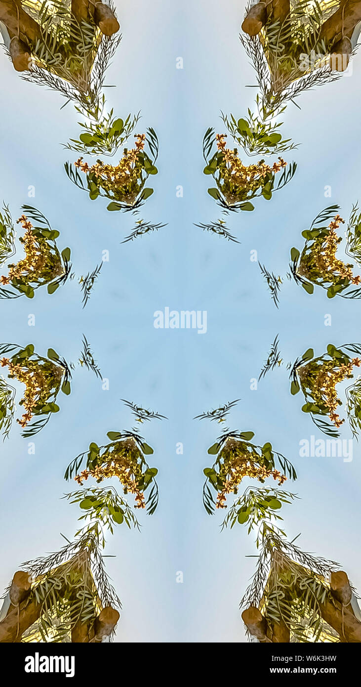 Vertical Floral design looking minimalistic made from flowers at a ...