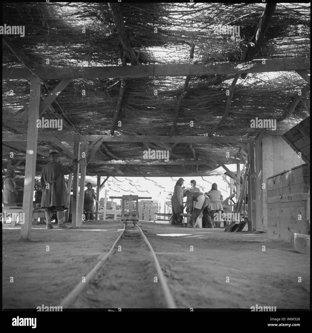 Poston camp Black and White Stock Photos & Images - Alamy