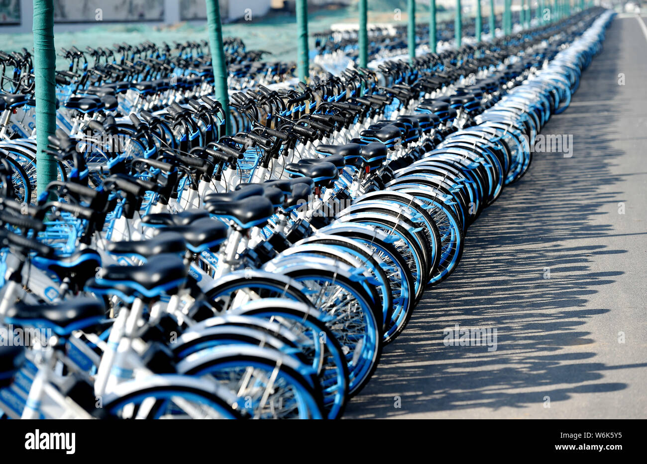 Bicycles of Hellobike and other Chinese bike-sharing services are lined ...