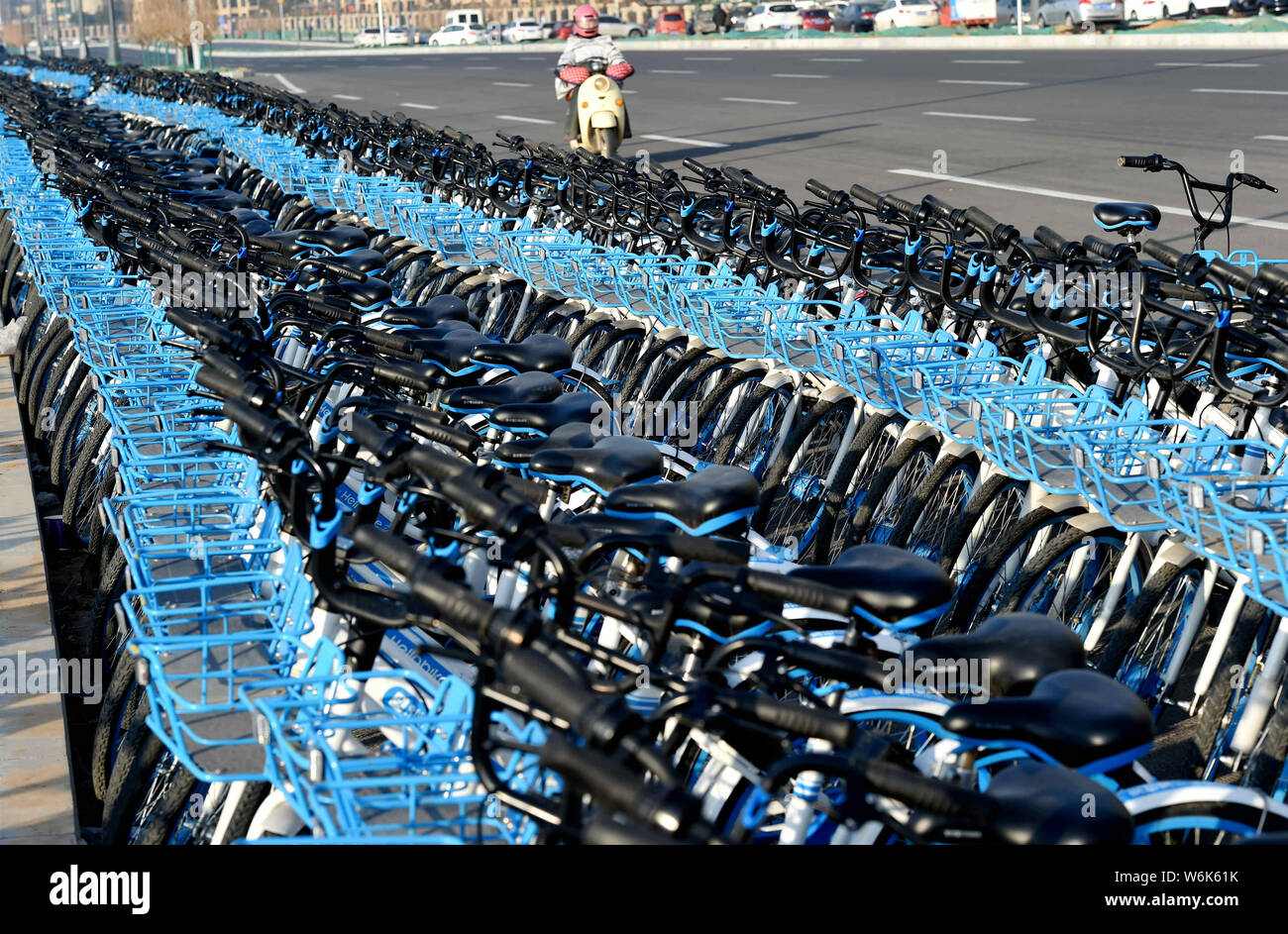 Bicycles of Hellobike and other Chinese bike-sharing services are lined ...