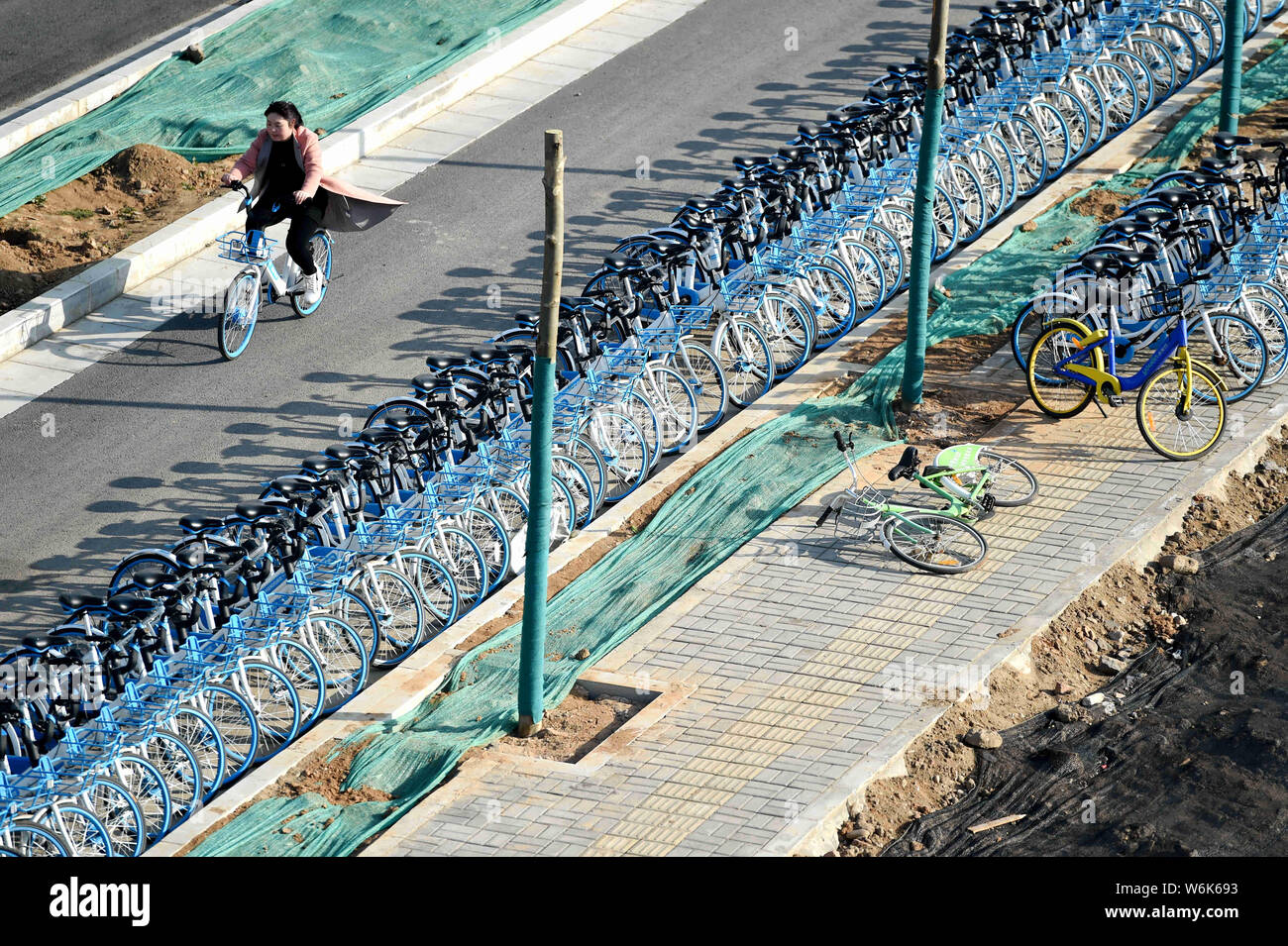 Bicycles of Hellobike and other Chinese bike-sharing services are lined ...